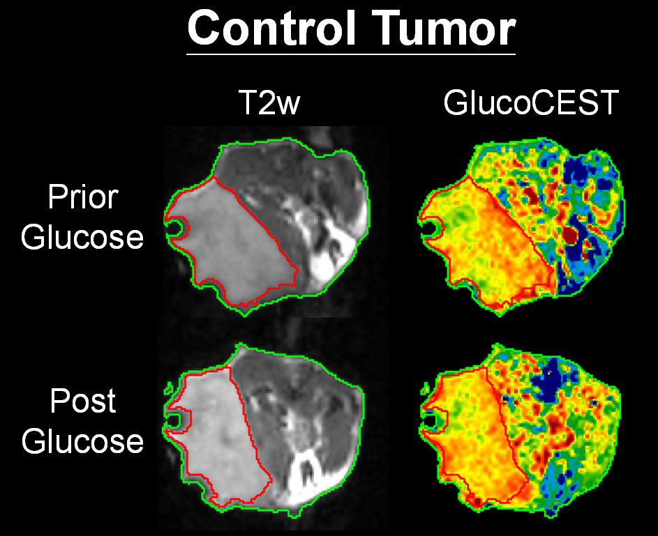 Howard University Molecular Imaging Lab